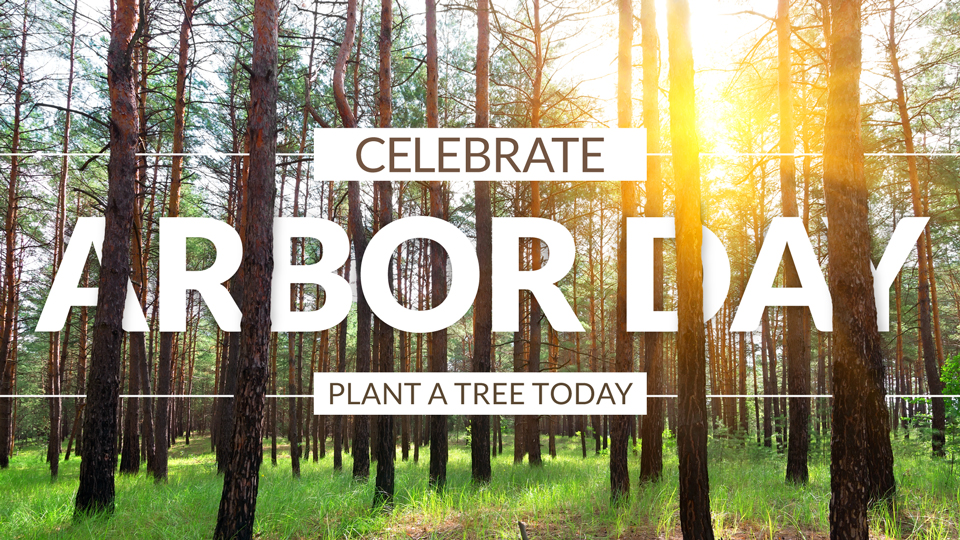 301 Moved Permanently